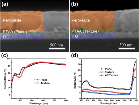 A Cross Section Sem Image Of The Texture Interface Was Obtained By Download Scientific Diagram