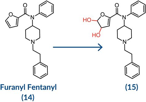 What Do We Know About The Metabolism Of The New Fentanyl Derivative