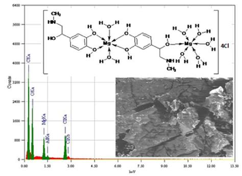 b edx spectrum sem photo and structure of [mg2 adr 2 h2o 7]cl4