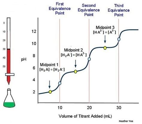 Titration of a Weak Polyprotic Acid - Chemistry LibreTexts