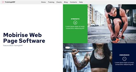 Mobirise Web Page Software — Features Block Trainingamp Mobirise