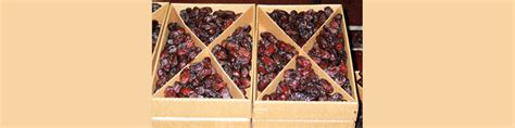 Sorting Helsagold