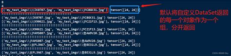 Pytorch中的dataloader和dataset详细的collatefn参数测试tourch Dataset 参数 Csdn博客