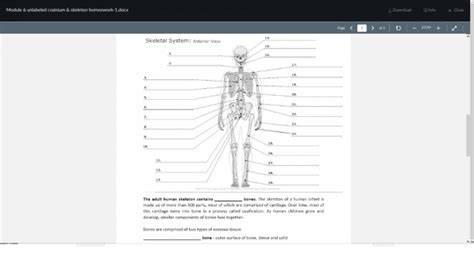 Module 6 Homework Skeleton Cranium And Feature Labeling Pdf Skull