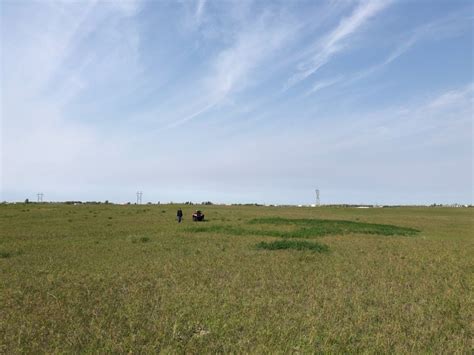 Passive Seeding — Manitoba Beef And Forage Initiatives