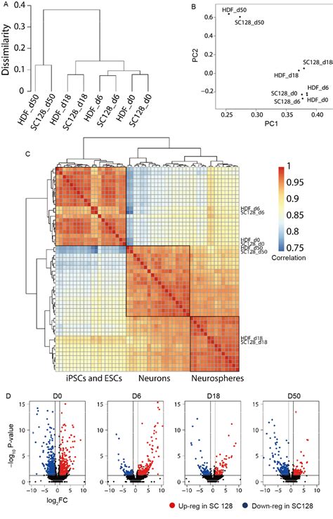 The Gene Expression Pattern Of Fxs Ipsc During Neurogenesis A