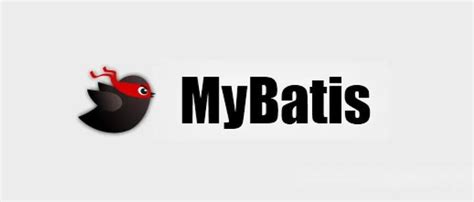 精通mybatis原理，看这两篇就够了！｜原创 知乎
