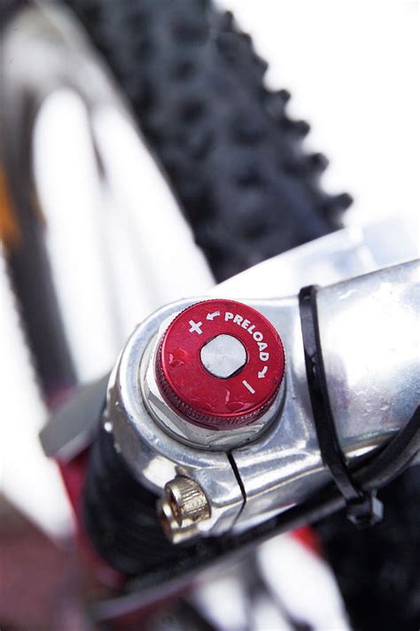 Oil Print Buffer Photograph By Westend61 Fine Art America