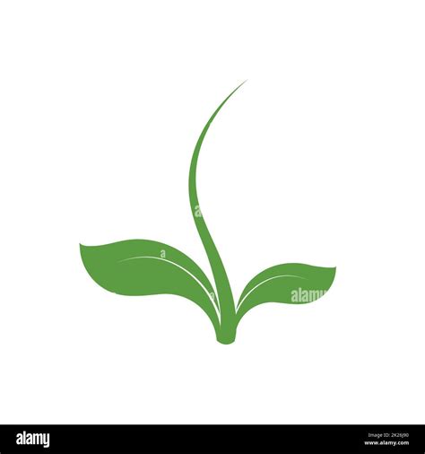 Symbol Life Origin Seedling Logo Green Plant Sign Vector Isolated