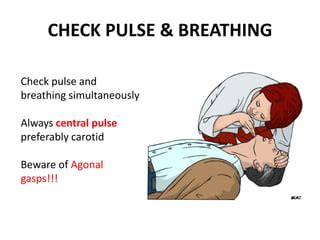 Bls 1 Pptx