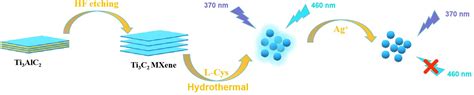 Cysteine‐functionalized Ti3c2 Mxene Quantum Dots As Fluorescent Sensors
