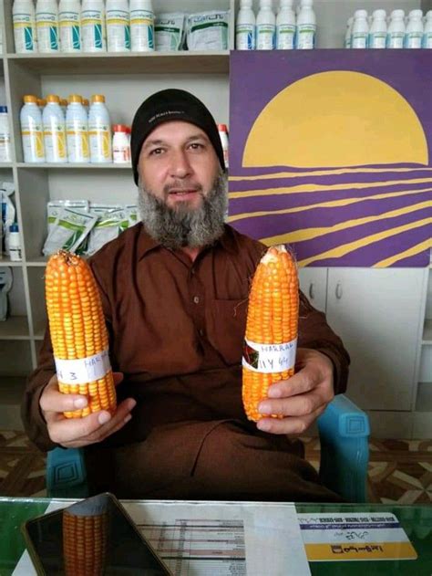 Muhammad Rehan Hashmi On Linkedin H3 By Harral Seeds Corporation