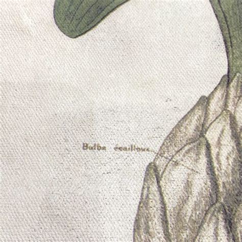 Tableau Mural En Coton « Le Lis Meander Vente Privée Rabais