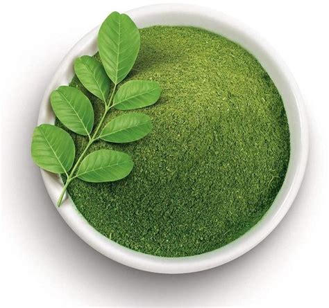 Moringa Oleifera Extract At Best Price In Delhi Id 7070809 Cartley