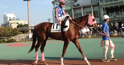 競馬で勝ち続ける！人気薄馬を狙う必勝買い方と資金配分の極意｜あんちゃん