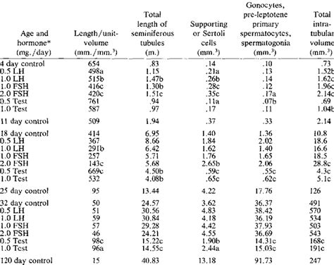 Length Of Seminiferous Tubules Length Volume Ratios Absolute Volume Download Scientific
