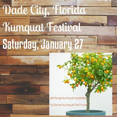 Do You Love Kumquats If You Dont Know Come Try Them All Things