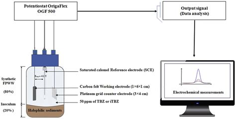 Schematic Representation Of Microbial Electrolysis Cell Mec And