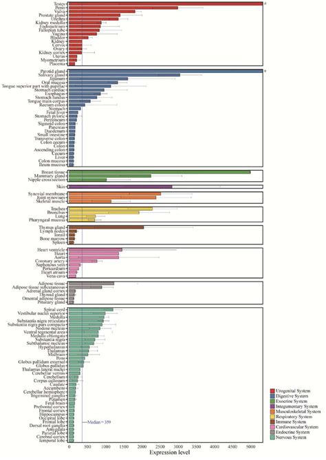 The Tissue Specific Expression Pattern Of Crnde In Various Normal Human Download Scientific