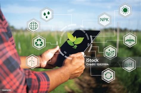 스마트 젊은 농부들은 태블릿을 사용하여 농장을 관리하고 기술을 사용하여 작업 시간을 줄이고 편의성을 높입니다 농업 기술에 대한 스톡 사진 및 기타 이미지 Istock