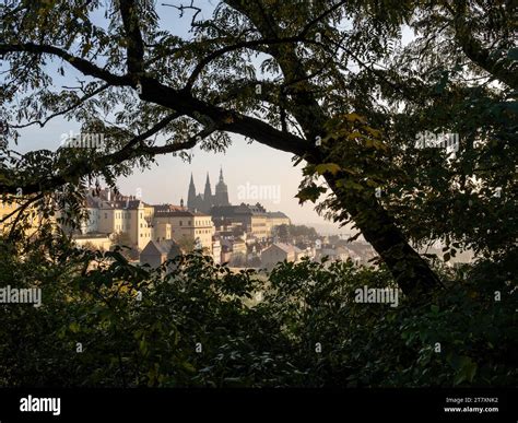Prague Castle And St Vitus Cathedral In Morning Sunlight Unesco World
