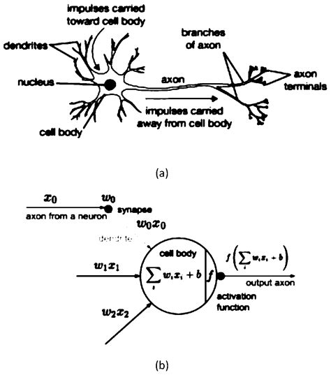 Convolutional Neural Network Based Self Service Checkout System And Convolutional Neural Network