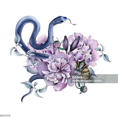 수채화 분홍색 모란 꽃 무리는 흰색에 고립되어 있습니다 고딕 꽃 식물 그림 손으로 그렸습니다 뱀과 나방이 있는 검은 결혼식 장식 초대장 배경 엽서에 대한 요소 0명에 대한