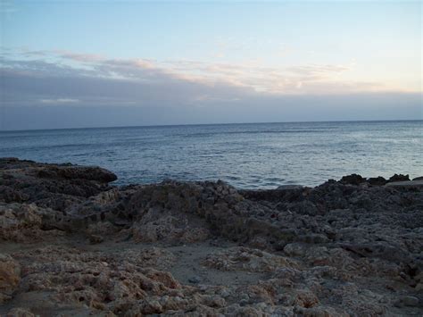 No Such Thing As Free Will Hubpages