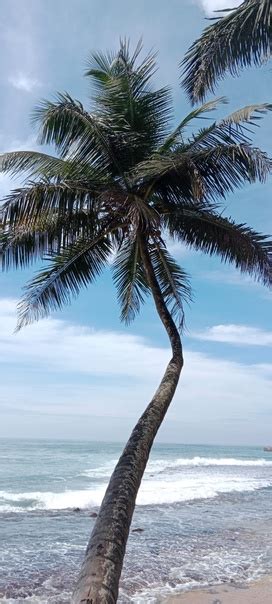 Шри Ланка 75000 Супер предложение на 7 и 10 февраля ⚡ Топ пляжей где