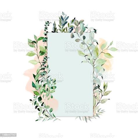 수채화 유칼립투스와 녹지 가지로 장식된 직사각형 프레임 흰색 배경에 손으로 그린 0명에 대한 스톡 벡터 아트 및 기타 이미지 0명 구도 꽃 식물 Istock