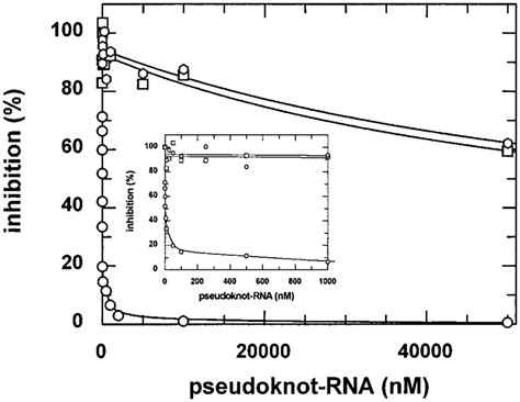 Standard Rt Assay With Different Rts In The Presence Of Pseudoknot Rna Download Scientific