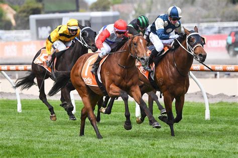 Mr Maestro And Harry Coffey Take Out The Caulfield Classic