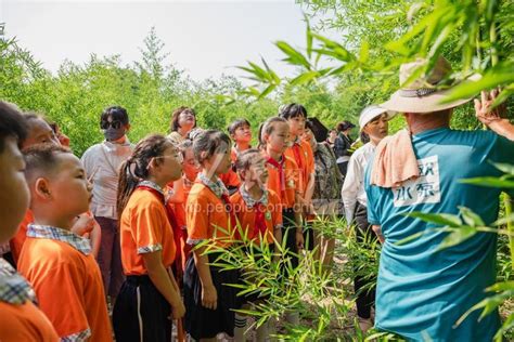 河北柏乡：暑期社会实践丰富暑期生活 人民图片网