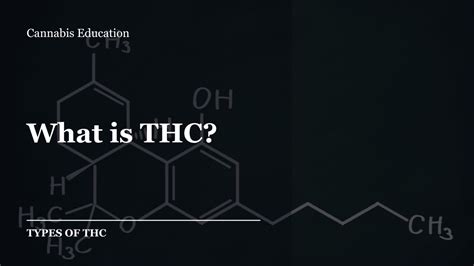 Different Types Of THC Explained Effects Benefits