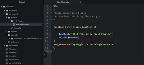 Step By Step Guide To Make Your First Wordpress Plugin GeeksforGeeks