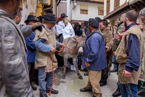 Another Cruel Tradition Equus Asinus