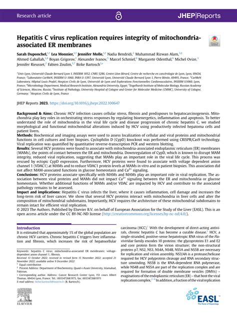 Pdf Hepatitis C Virus Replication Requires Integrity Of Mitochondria