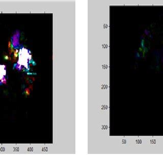 Real Time Estimation Of Optical Flow For The Detection Of Abnormal Download Scientific Diagram