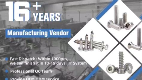 Stainless Steel M8 M6 Big Male Female Black Zinc Sex Bolt Rivet Chicago