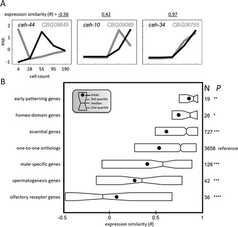 conservation of expression similarity by gene function a normalized