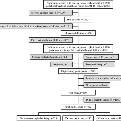 Wexner Score And Mode Of Delivery Download Scientific Diagram