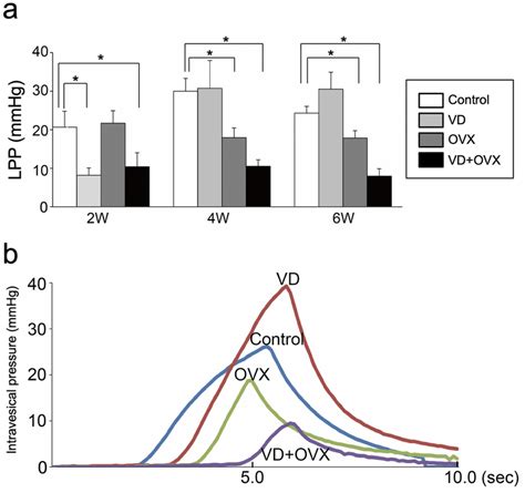 Quantitative Evaluation Of Leak Point Pressure LPP In The Different Download Scientific
