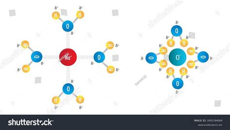 Ion Dipole Photos And Images And Pictures Shutterstock