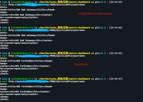 通过apisix访问 manage api 作为upstream 偶发性的 Issue apache apisix dashboard GitHub