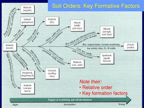 PPT Soil Orders Study Guide Part I PowerPoint Presentation Free Download ID 792161