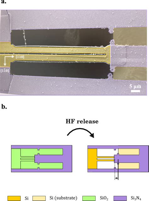 Scanning Electron Microscopy Sem Micrograph Of A Deformed Microbeams