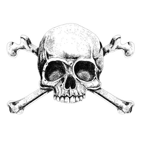 Flowers City Casuals Wikipedia Bahasa Indonesia Ensiklopedia Bebas