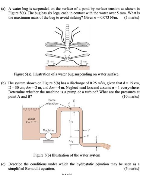 Solved A Water Bug Is Suspended On The Surface Of A Pond By Surface