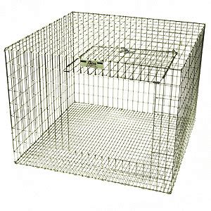 18 Galvanized Wire Cages