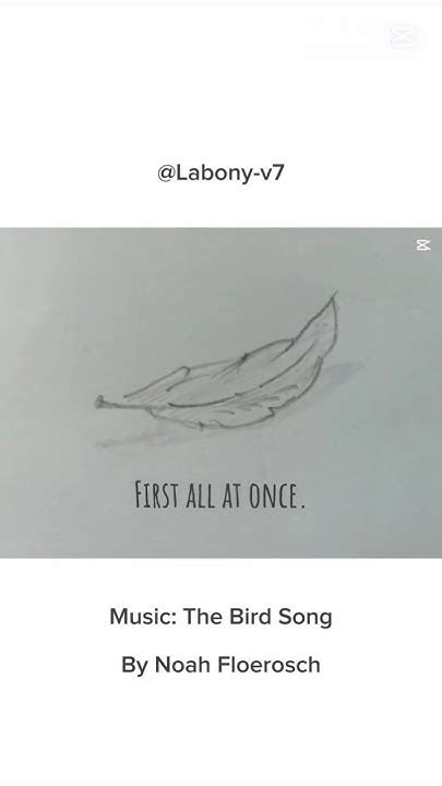 She Was A Bird I Was An Arrow Art Drawing Animation Lyrics Artist